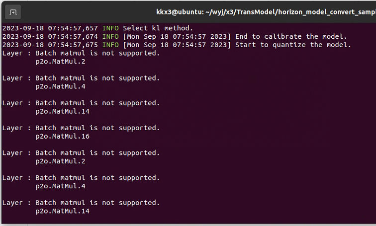 模型转换成功但是提示Layer : Batch matmul is not supported. - 算法工具链 - 地瓜机器人论坛
