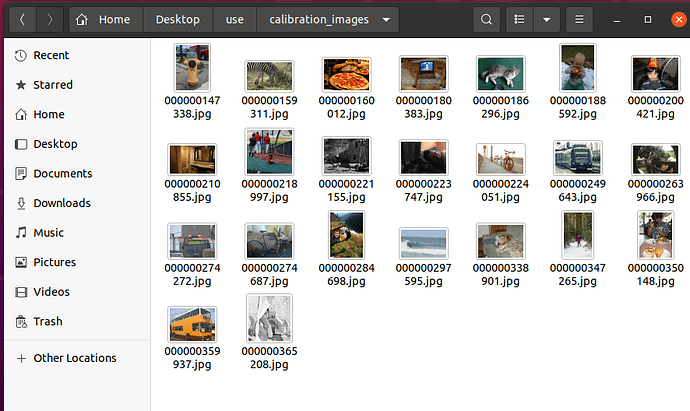 RDK X5 yolo快速量化 - RDK Model Zoo - 地瓜机器人论坛